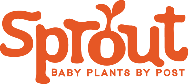 Sprout - Kim Lawler Creative